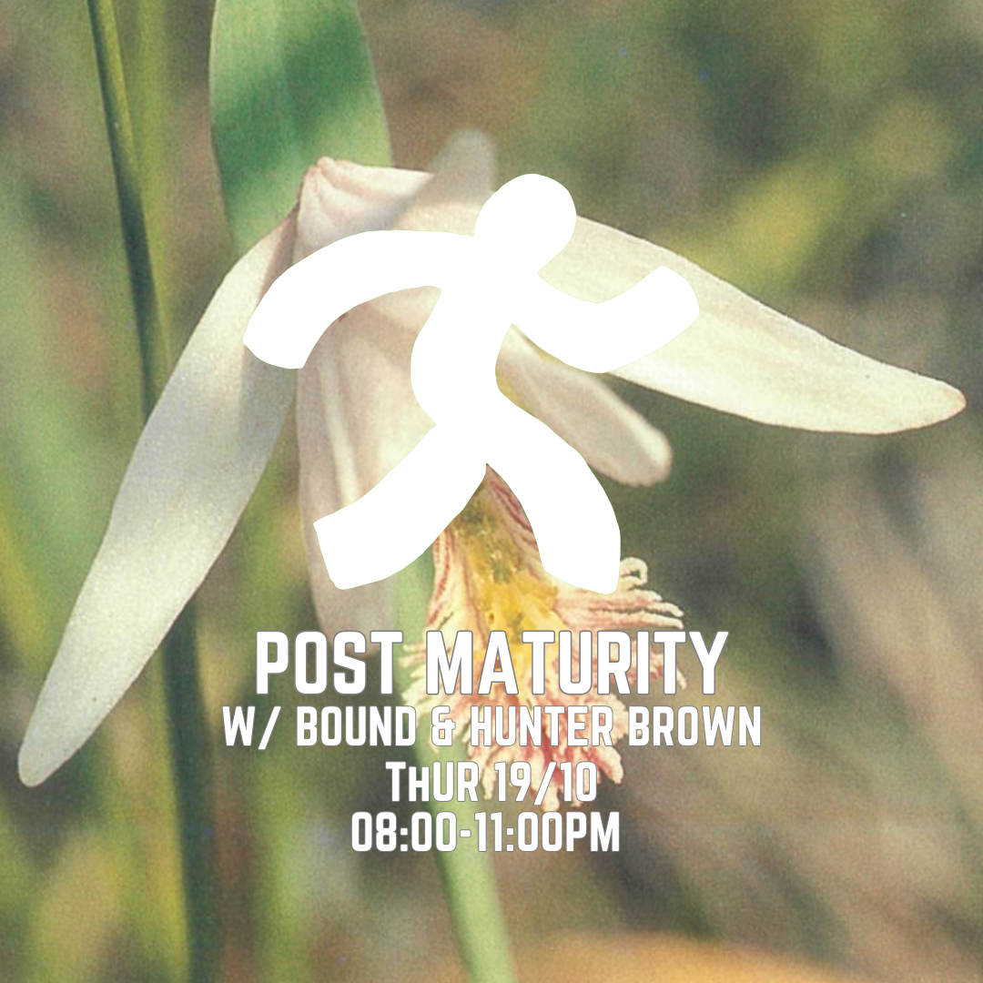 CLOSER CLOSER CLOSER RECORD STORE AND SO MUCH MORE