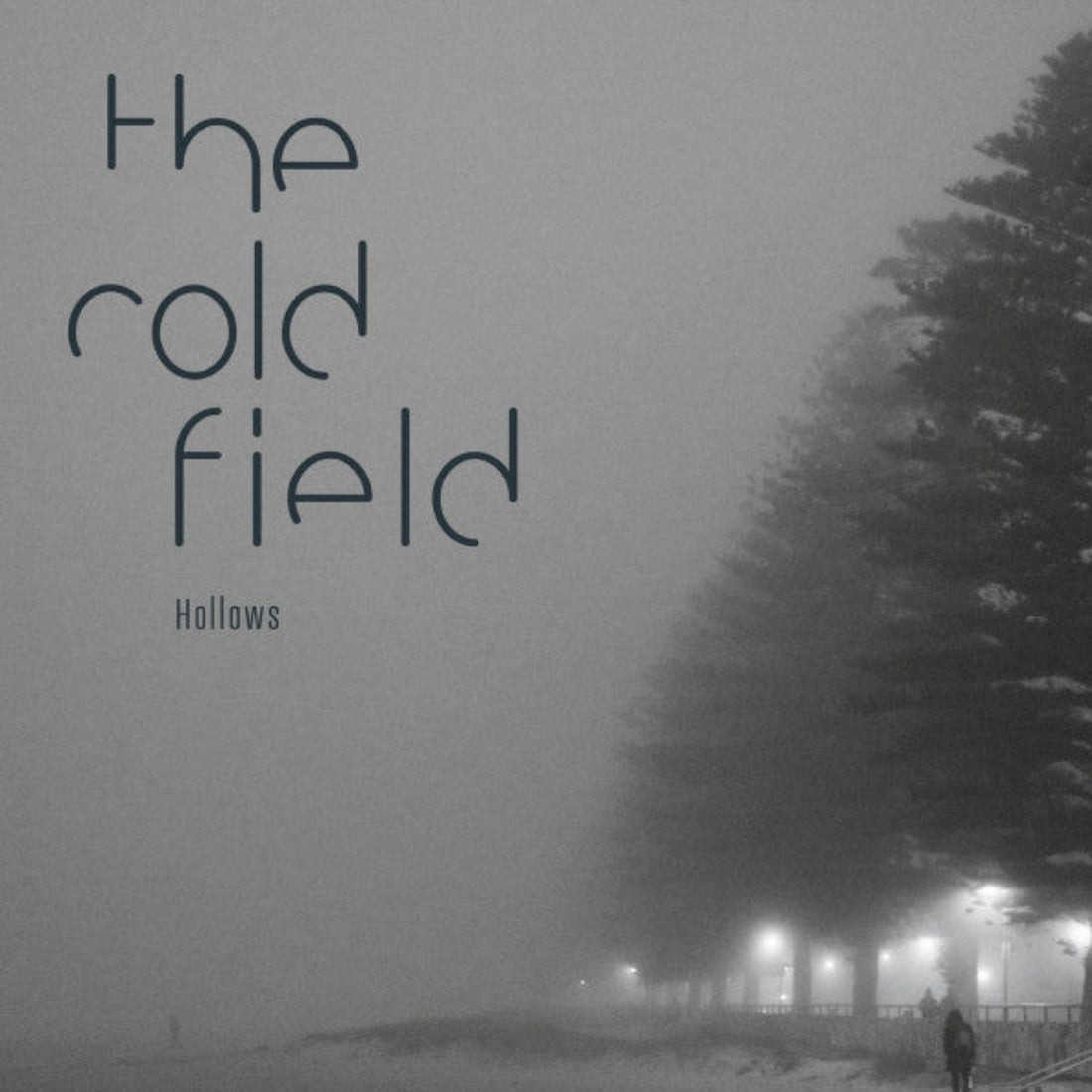 The Cold Field - Hollows | Limited Edition Dark Wave Vinyl – CLOSER